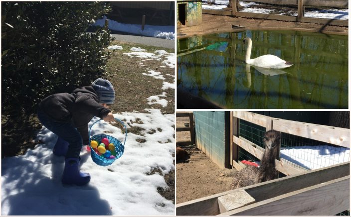 Sunday Five: The Shine of a Thousand Spotlights | Kimberussell.com