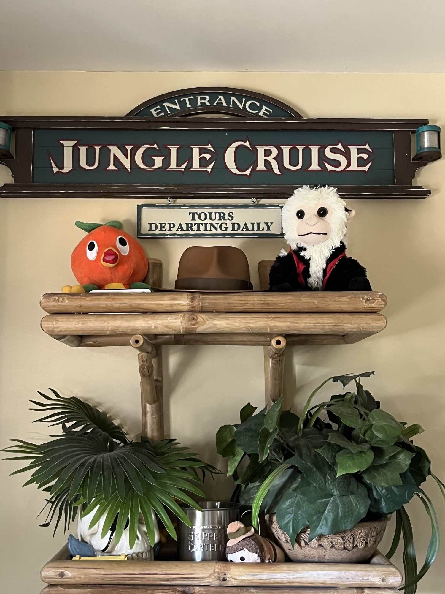 Wordless Wednesday 2025: Week 6 | Kimberussell.com